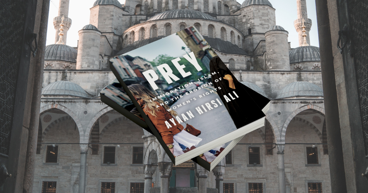 prey - Position Papers