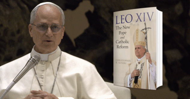 A clear portrayal of the immense task facing Pope Leo - Position Papers